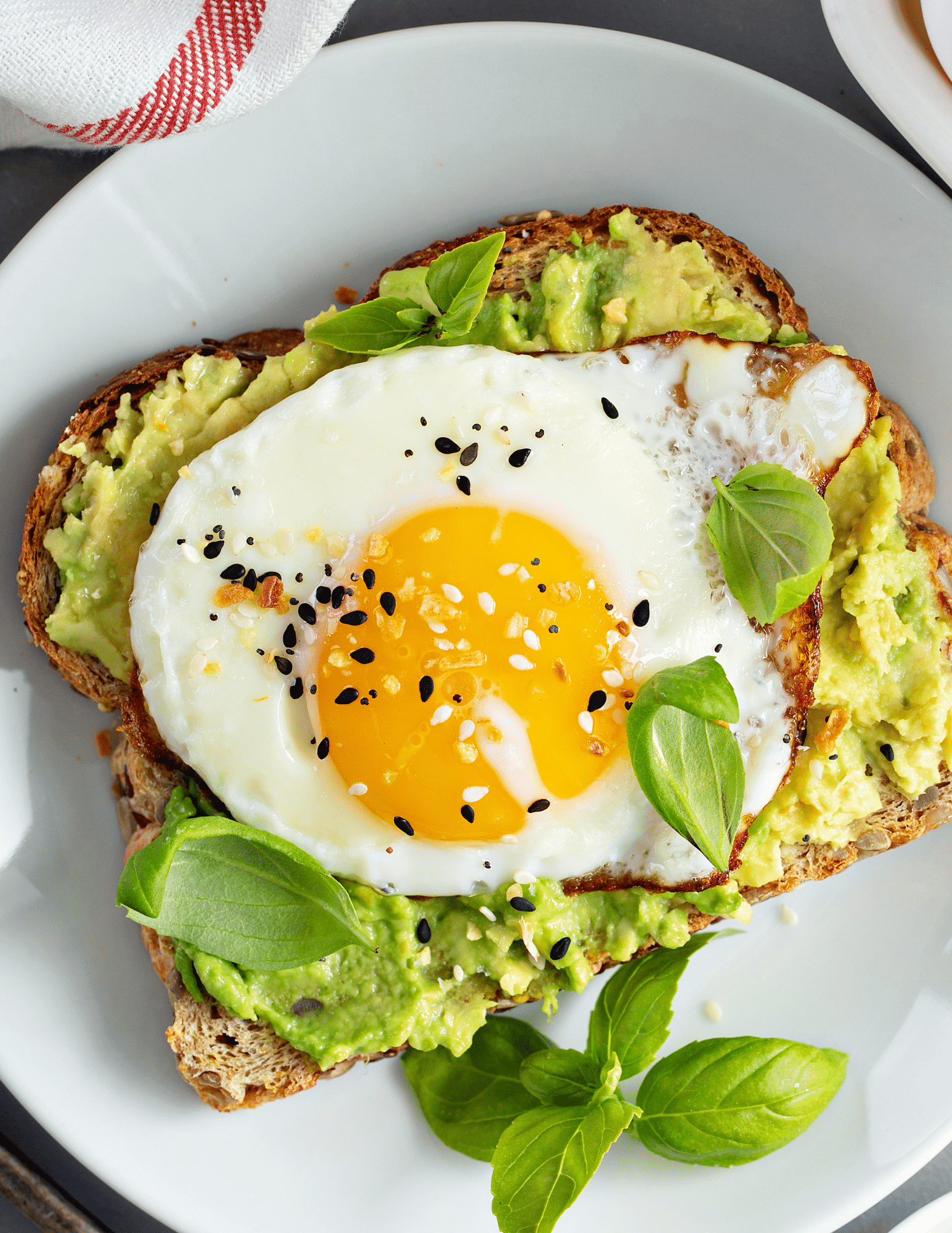 AVO TOAST - Empire Shop NYC